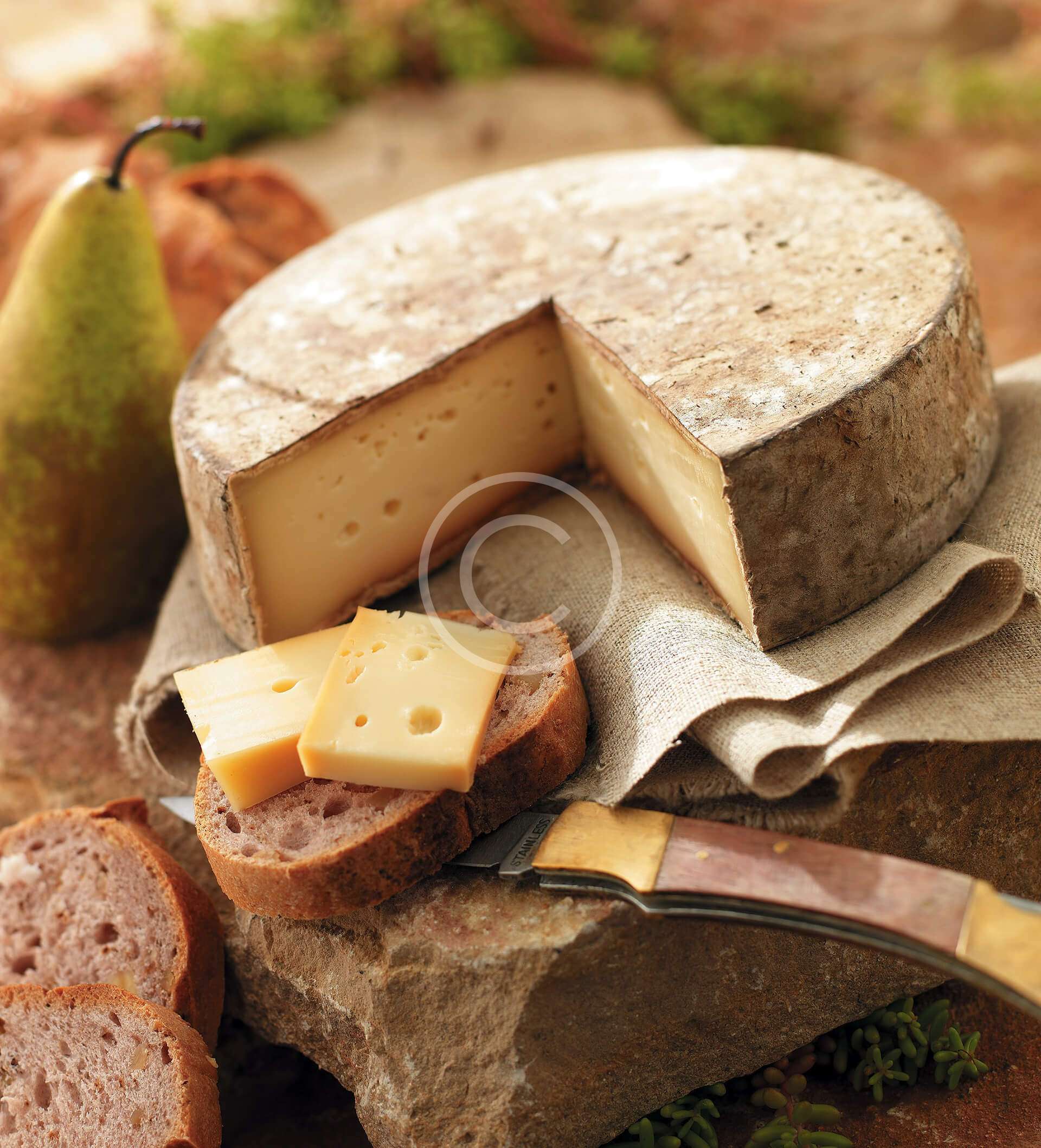 Goat Cheese – Srirampolymers